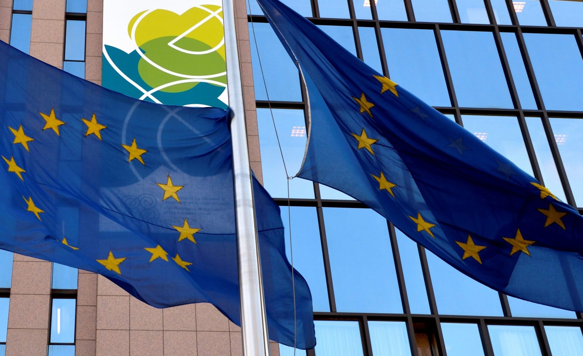 Digitalt kontrolsystem fra EU skaber problemer for import af fisk ...
